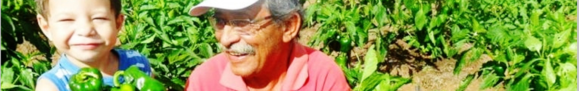 Soberanía alimentaria para el buen vivir – COMOSOC